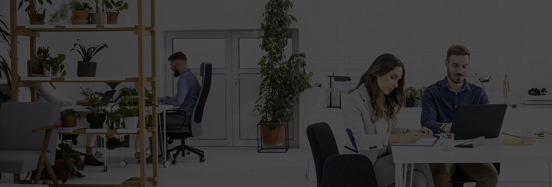 Back Office Single - Profia - software house